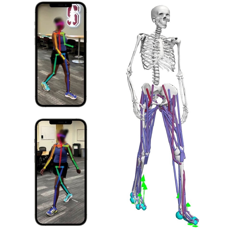 Movement Bioengineering Lab